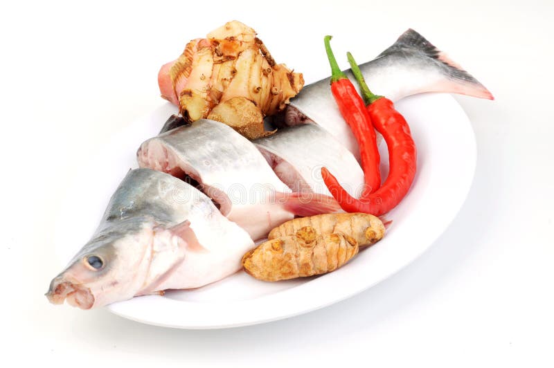 Fresh fish stock photo. Image of dinner, edible, foliage - 19492044