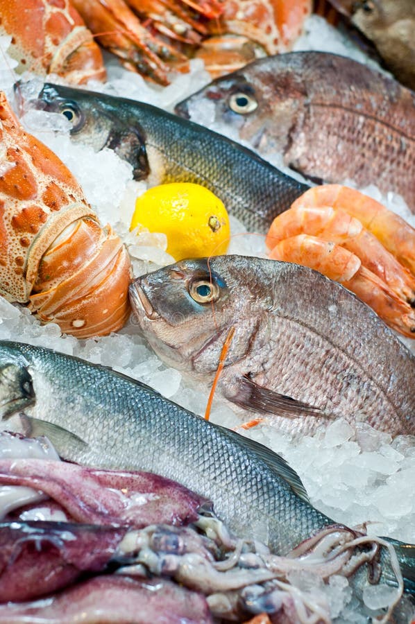 Fresh fish stock image. Image of oceanic, shrimp, seafood - 20908121