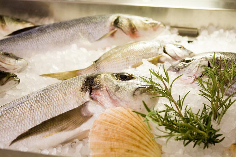 Fresh fish stock photo. Image of animal, fish, nutrition - 21230318