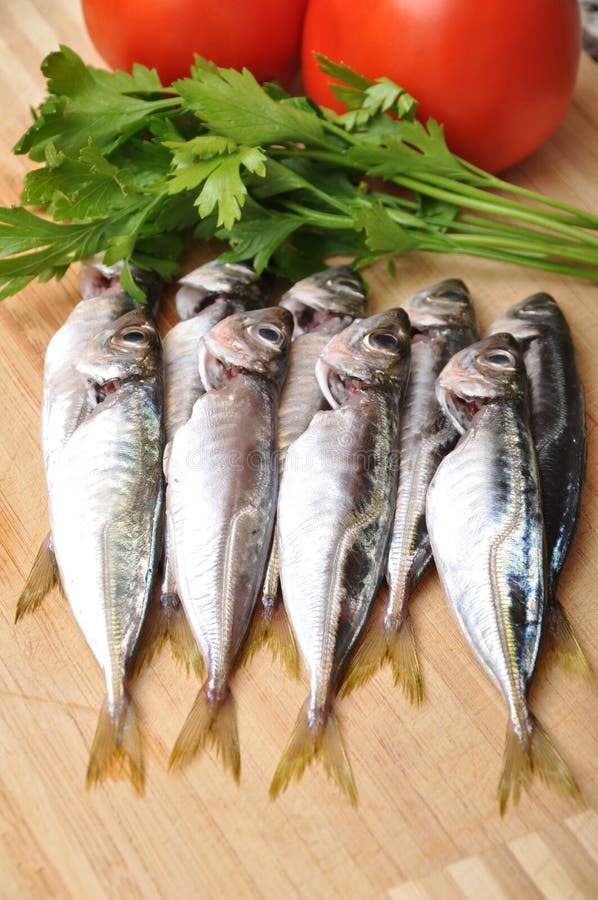 Fresh fish stock image. Image of catch, fresh, aquarium - 21572135