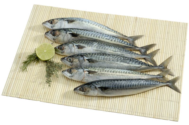 Fresh Fish stock photo. Image of onion, lunch, laying - 2279852