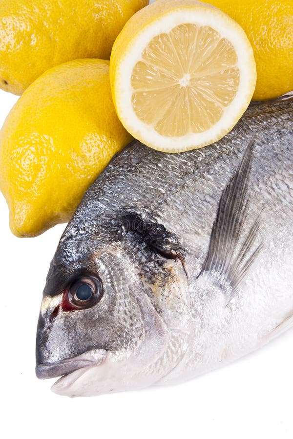 Blue fish stock photo. Image of background, beautiful - 8715572