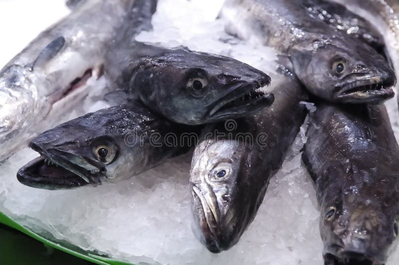 Fresh Fish Picture. Image: 2427830
