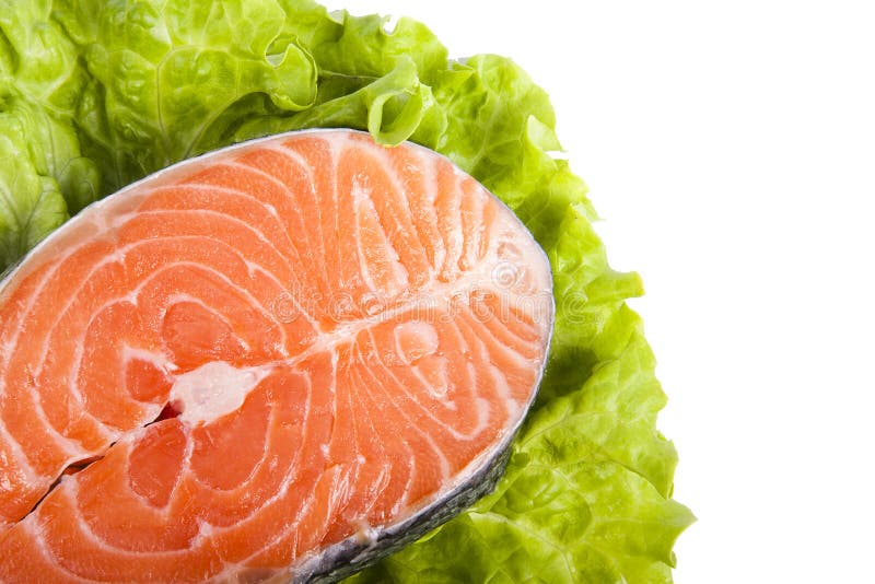 Fresh fish stock photo. Image of dish, nutrition, fish - 25432886