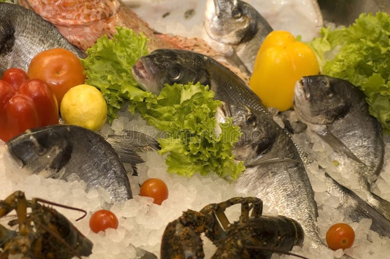 Fresh Fish stock photo. Image of cubes, seafood, fresh - 4445024