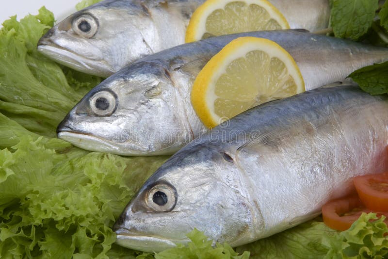 Fresh Fish Picture. Image: 4597606