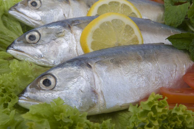 Fresh fish stock image. Image of fresh, marine, protein - 4597611