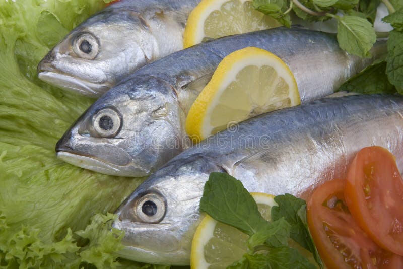 Fresh Fish Picture. Image: 4597624