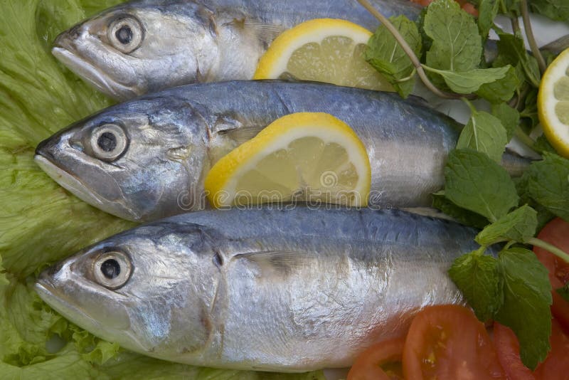 Fresh fish stock image. Image of plate, fish, protein - 4597641