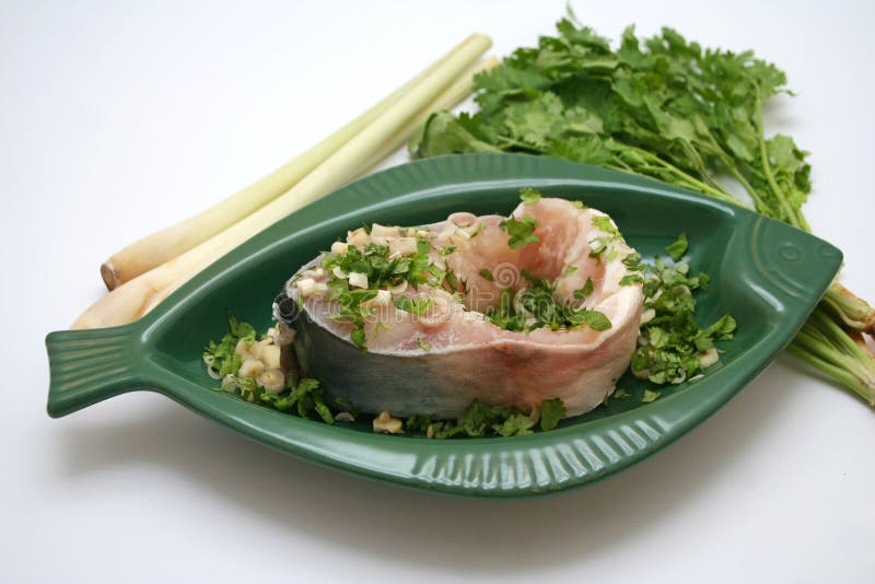 Fresh fish stock photo. Image of filet, pangasiusfish - 6691408