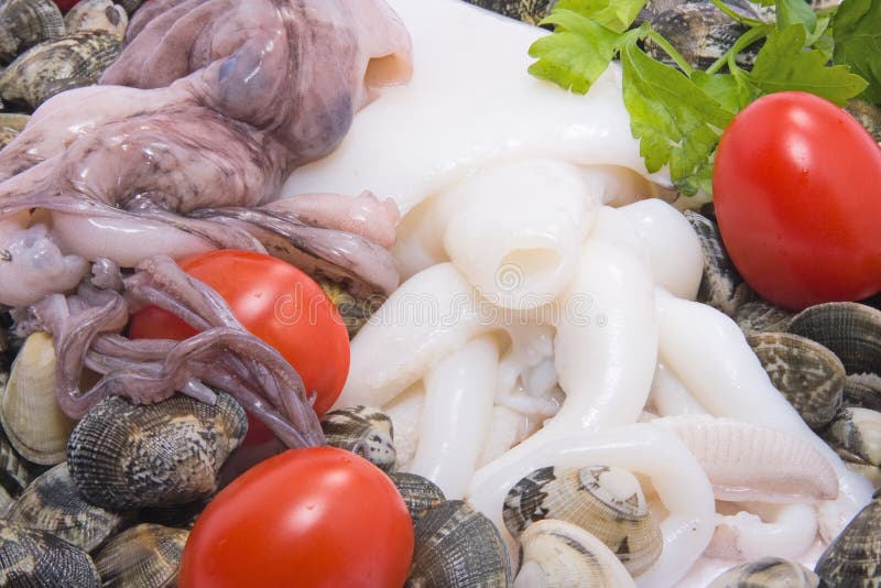 Fresh fish stock image. Image of clams, fresh, squid, cuttlefishes ...