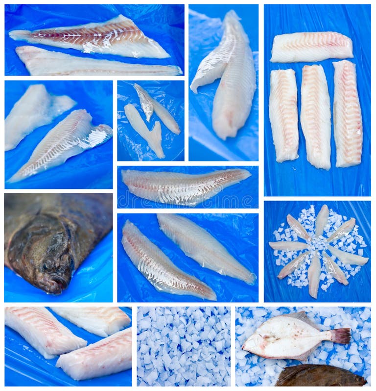 5,563 Fresh Fish Cut Pieces Stock Photos - Free & Royalty-Free Stock ...