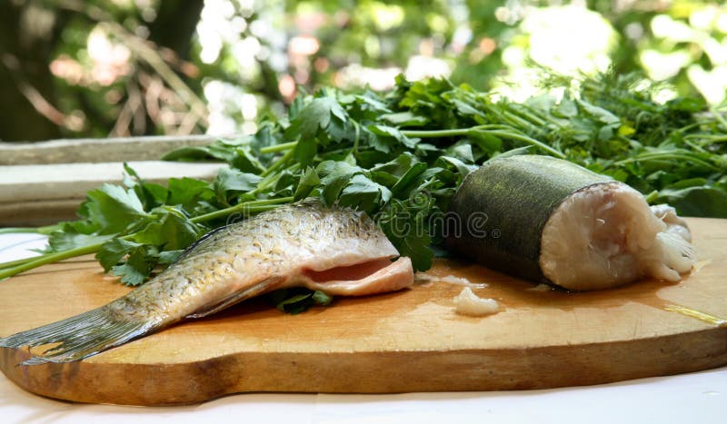 Fresh fish stock photo. Image of cook, diet, trout, verdure - 9735612