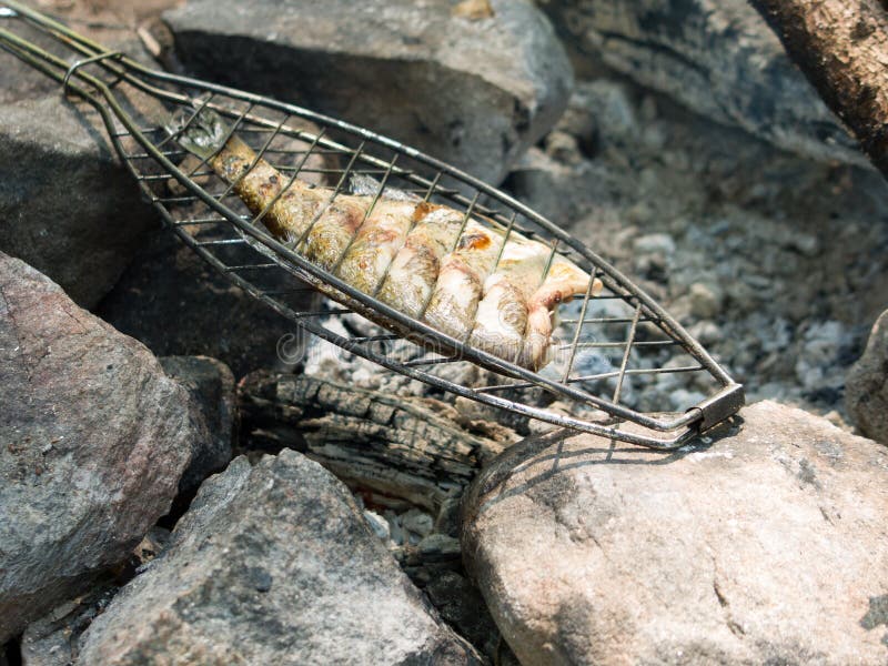 Fresh Fish of a Barbecue on a Fire Coals Stock Photo - Image of ...