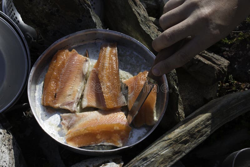 Fresh fish cooking stock image. Image of fishing, fresh - 57234219