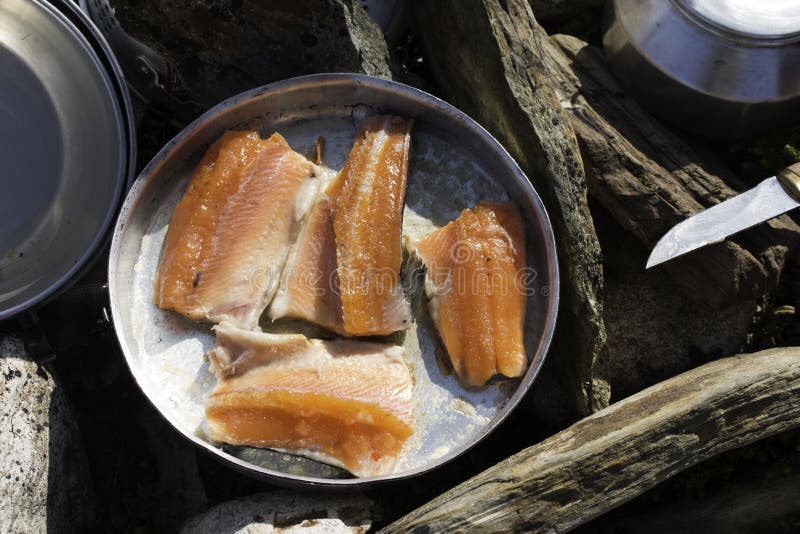 Fresh fish cooking stock image. Image of health, fishing - 57234305