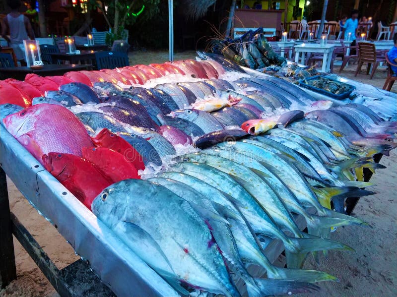 Fish Counter in a Superstore. Editorial Stock Image - Image of fish ...