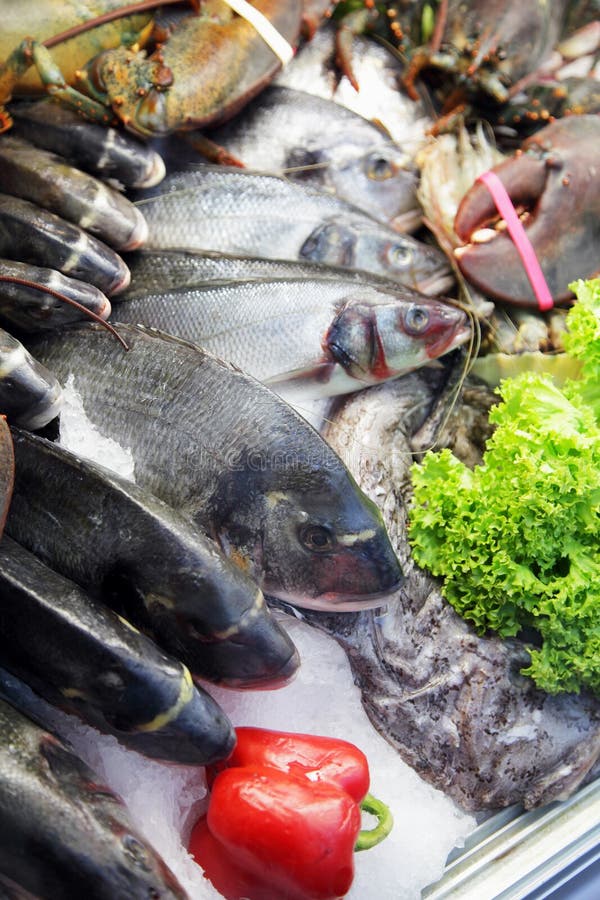 Fresh fish stock image. Image of market, eating, salmon - 36220089