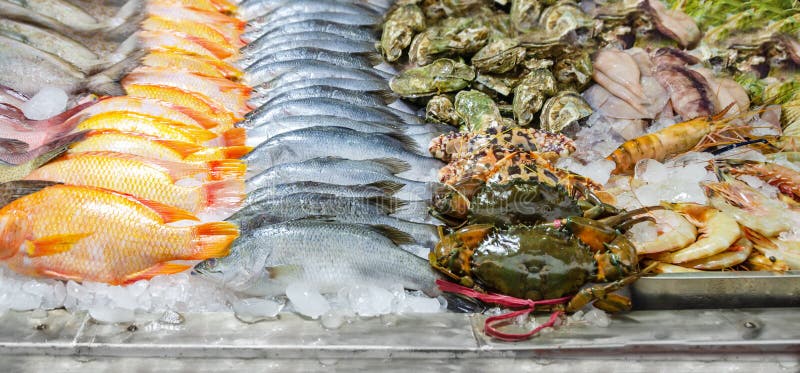 Fresh Fish on Counter of a Seafood Restaurant. Different Types of ...