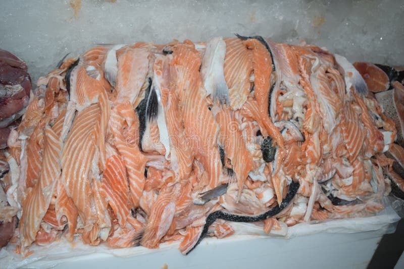 Fresh Fish Cut Pisces Market Editorial Photo - Image of fillet, fishery ...