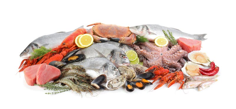 Fresh Fish and Different Sea Food Isolated on White Stock Image - Image ...