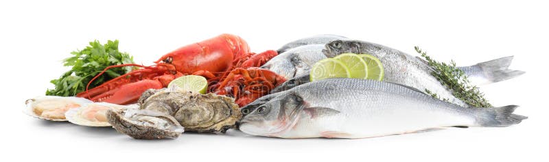 Fresh Fish and Different Sea Food Isolated on White Stock Photo - Image ...
