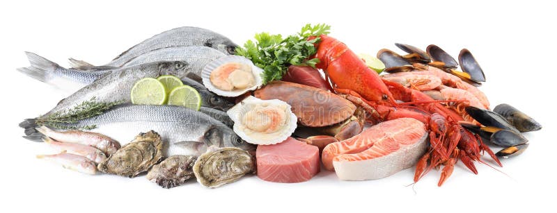 Fresh Fish and Different Sea Food Isolated on White Stock Image - Image ...