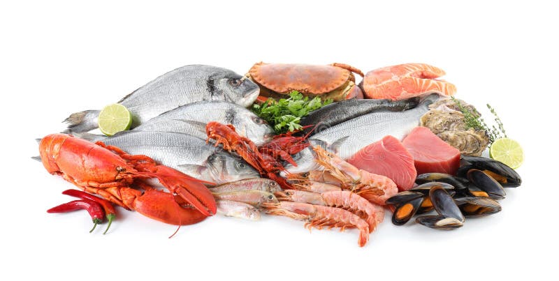 Fresh Fish and Different Sea Food Isolated on White Stock Photo - Image ...
