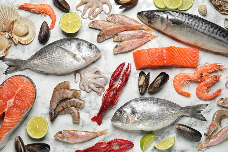 Fresh Fish and Different Seafood on White Marble Table Stock Image ...