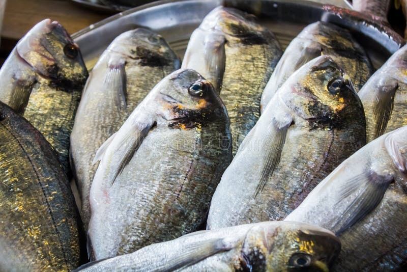 Fresh Fish in Different Sizes Laying on a Table Stock Photo - Image of ...