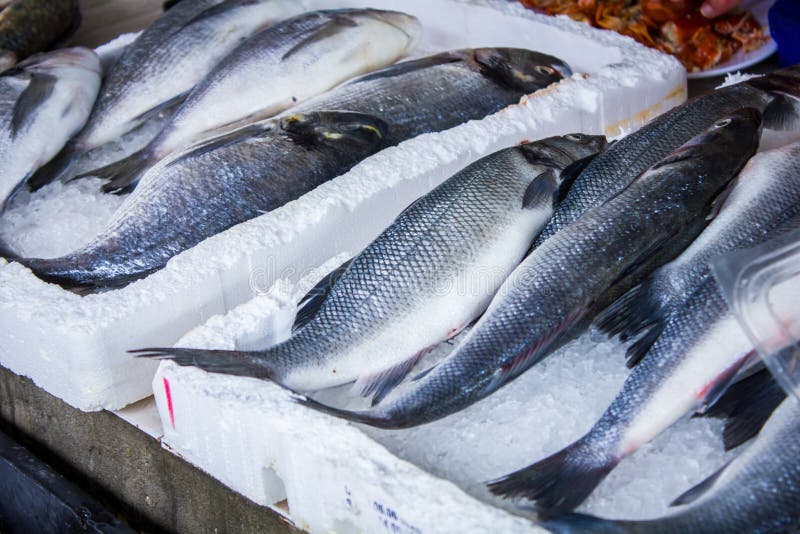 Fresh Fish in Different Sizes Laying on a Table Stock Photo - Image of ...