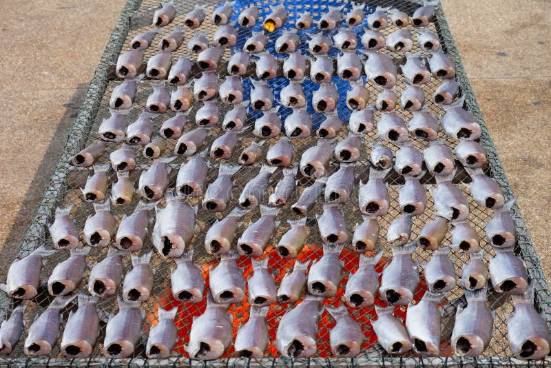 Fish Drying Outside in the Sun at Cambodian Market in Asia Stock Photo ...