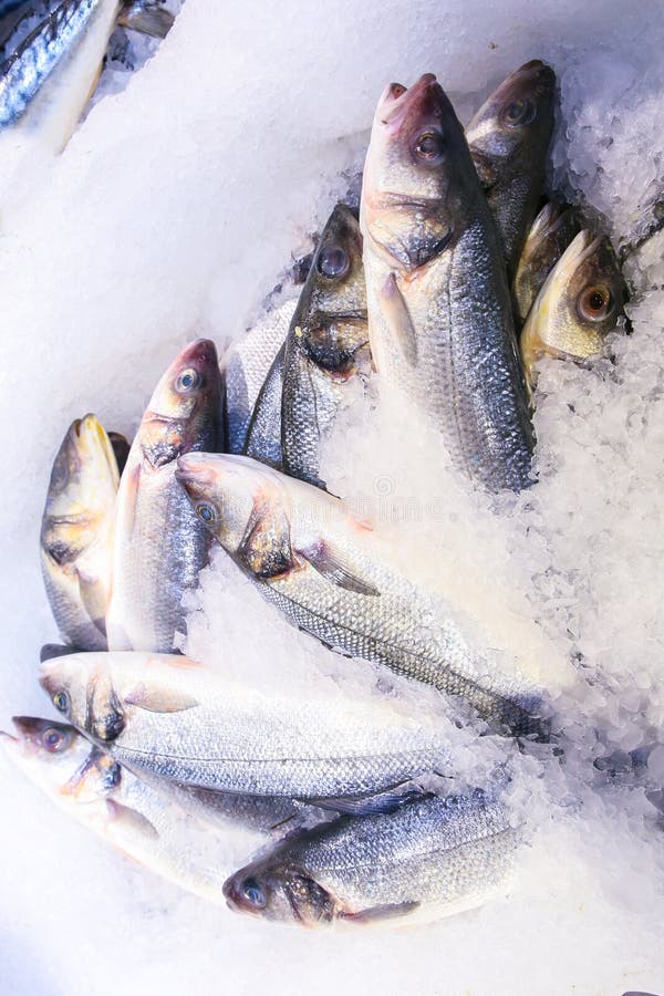 Fresh fish stock image. Image of file, fresh, market - 43971239