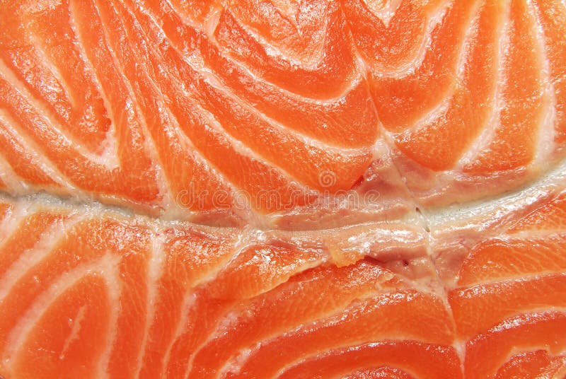 Fresh fish fillet stock photo. Image of european, pieces - 13647756