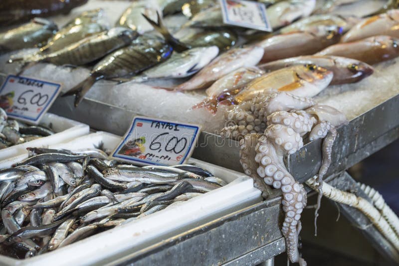 Fresh Fish in the Fish Market - Greece Stock Photo - Image of ...