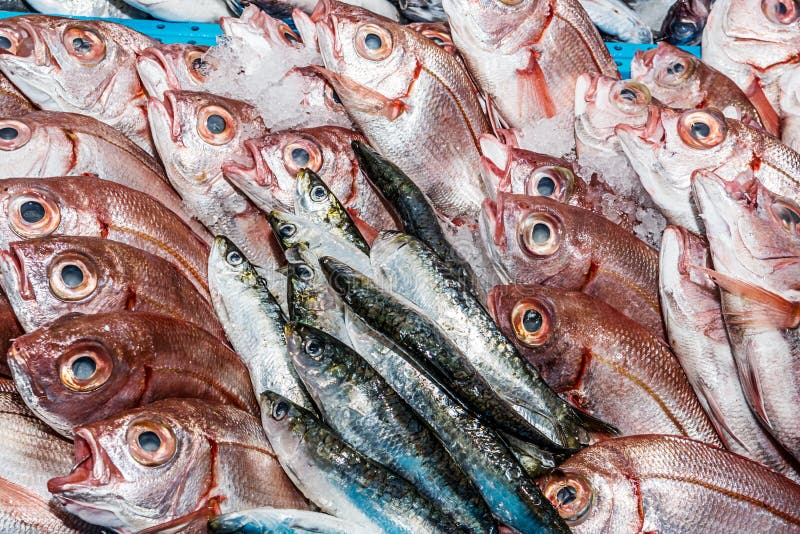 Fresh fish at a fish shop stock image. Image of seafood - 51972563