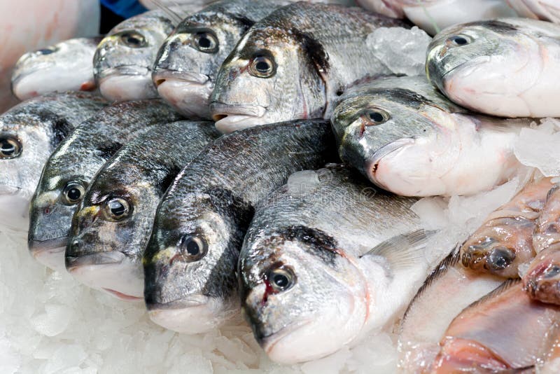 Fresh fish at a fish shop stock photo. Image of uncooked - 51975050