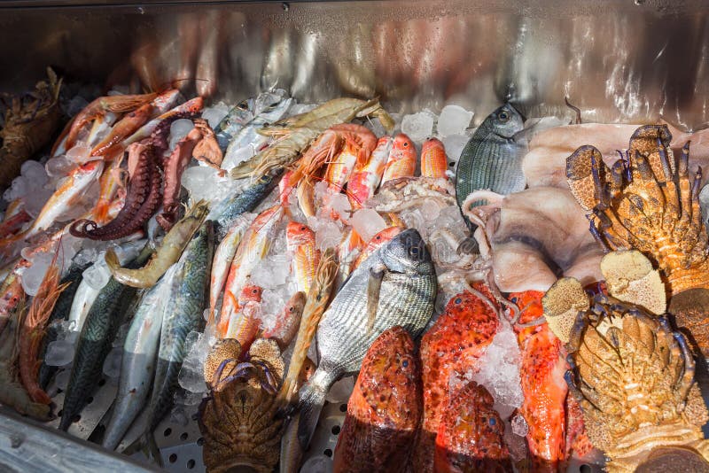 Fresh Fish stock photo. Image of lobster, food, cold - 54774338