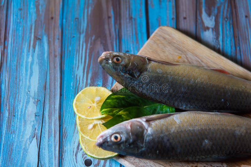 Half View on a Vertical View of Fresh Tamales on a Wooden Table Stock ...