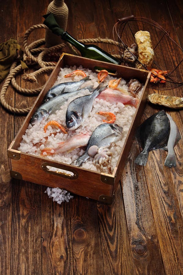 Fresh Fish in the Hold of a Ship Stock Photo - Image of flounder, frame ...