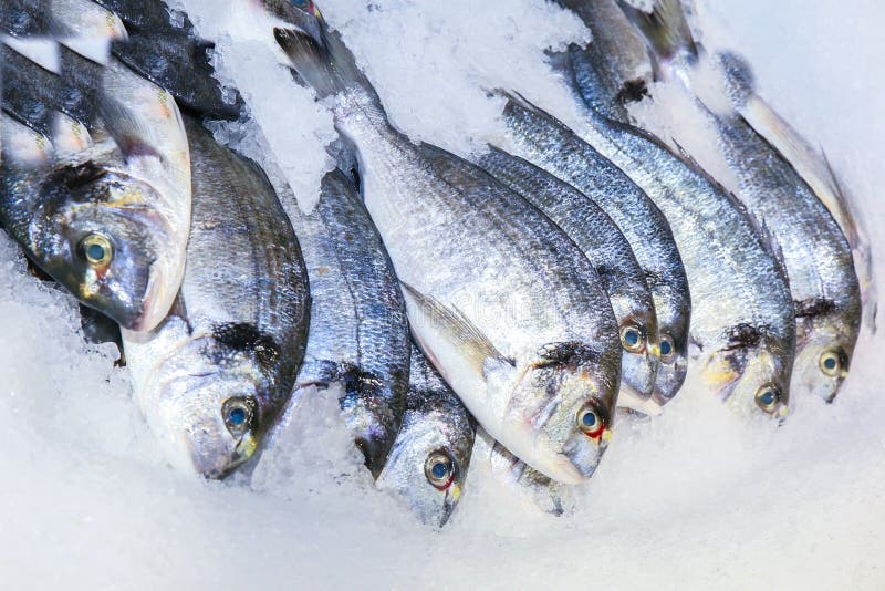 Fresh fish cut pieces stock image. Image of freshness - 31307959