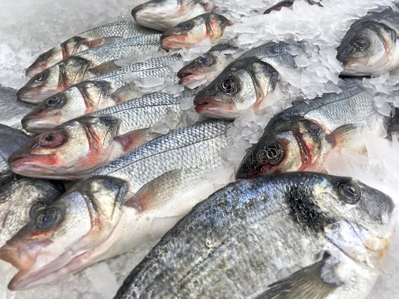 Fresh fish in ice closeup stock photo. Image of nature - 86099002