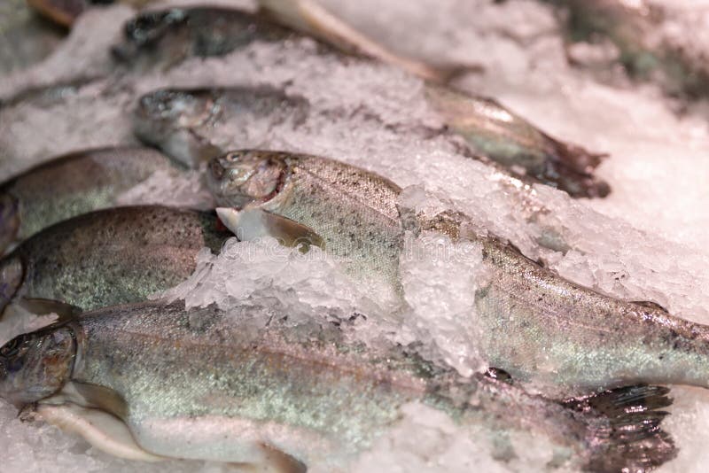 Fresh Fish on Ice on the Counter in the Store. Healthy Eating Stock ...