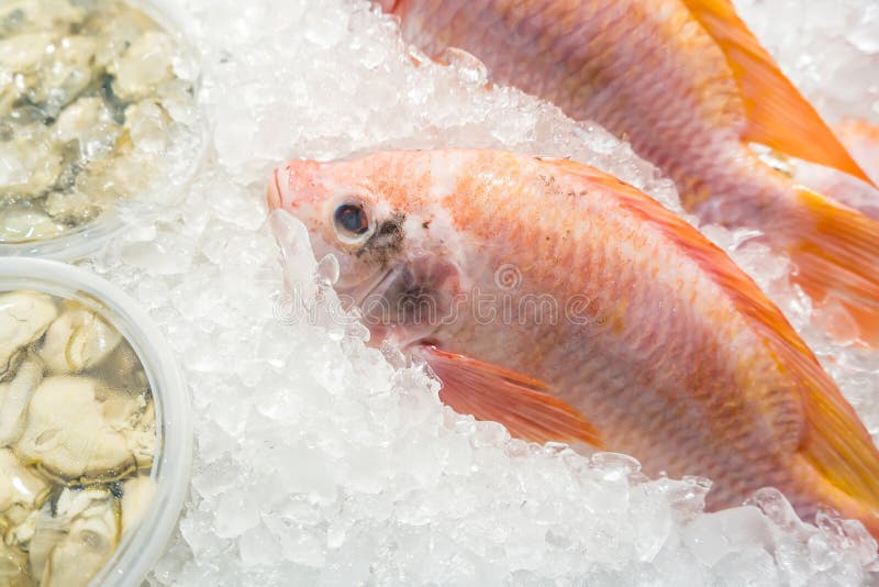 Fresh Fish on Ice Display in a Supermarket Stock Image - Image of fish ...