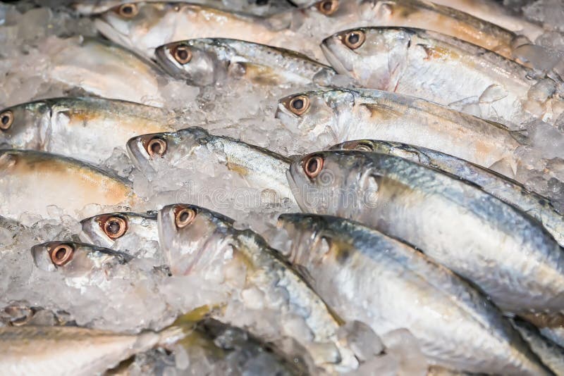 Fresh Fish on Ice Display in a Supermarket Stock Photo - Image of cool ...
