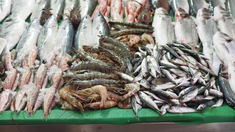 Fresh Fish in Street Market Stock Footage - Video of malta, chef: 341292424