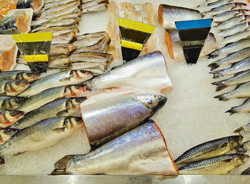 Fresh Fish in Ice with Price Tags Stock Image - Image of clean, fishing ...