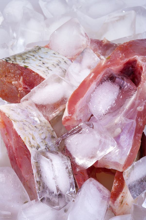 Fresh fish stock photo. Image of frozen, freshness, cold - 33215996