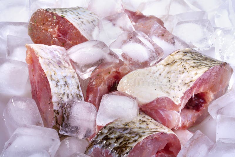 Fresh fish stock image. Image of industry, animal, freezing - 33216097