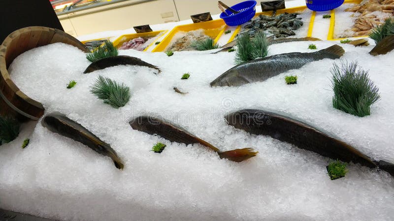 Fresh Fish on Ice in a Seafood Shop Store Stock Image - Image of frozen ...